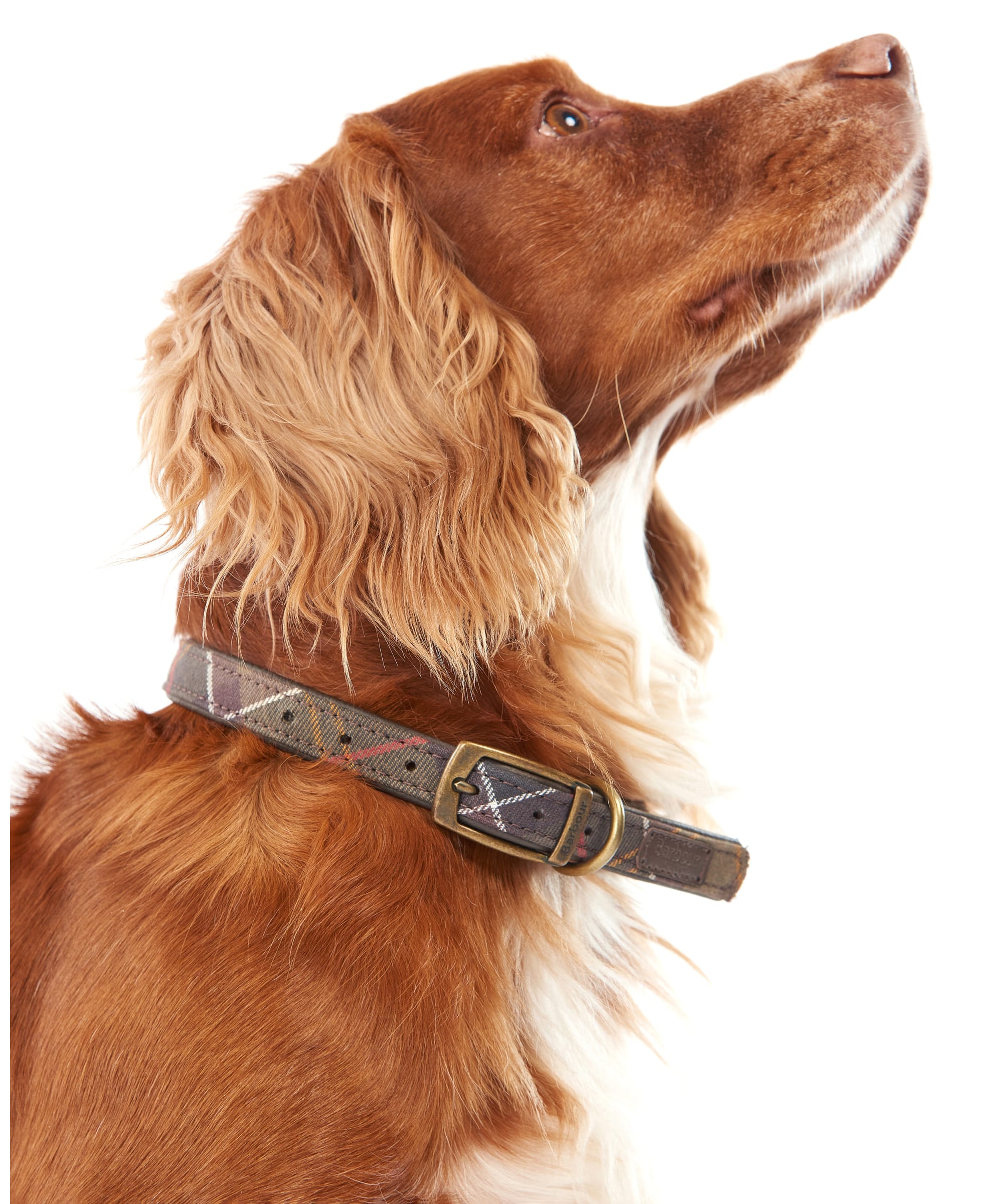 Barbour Tartan Dog Collar