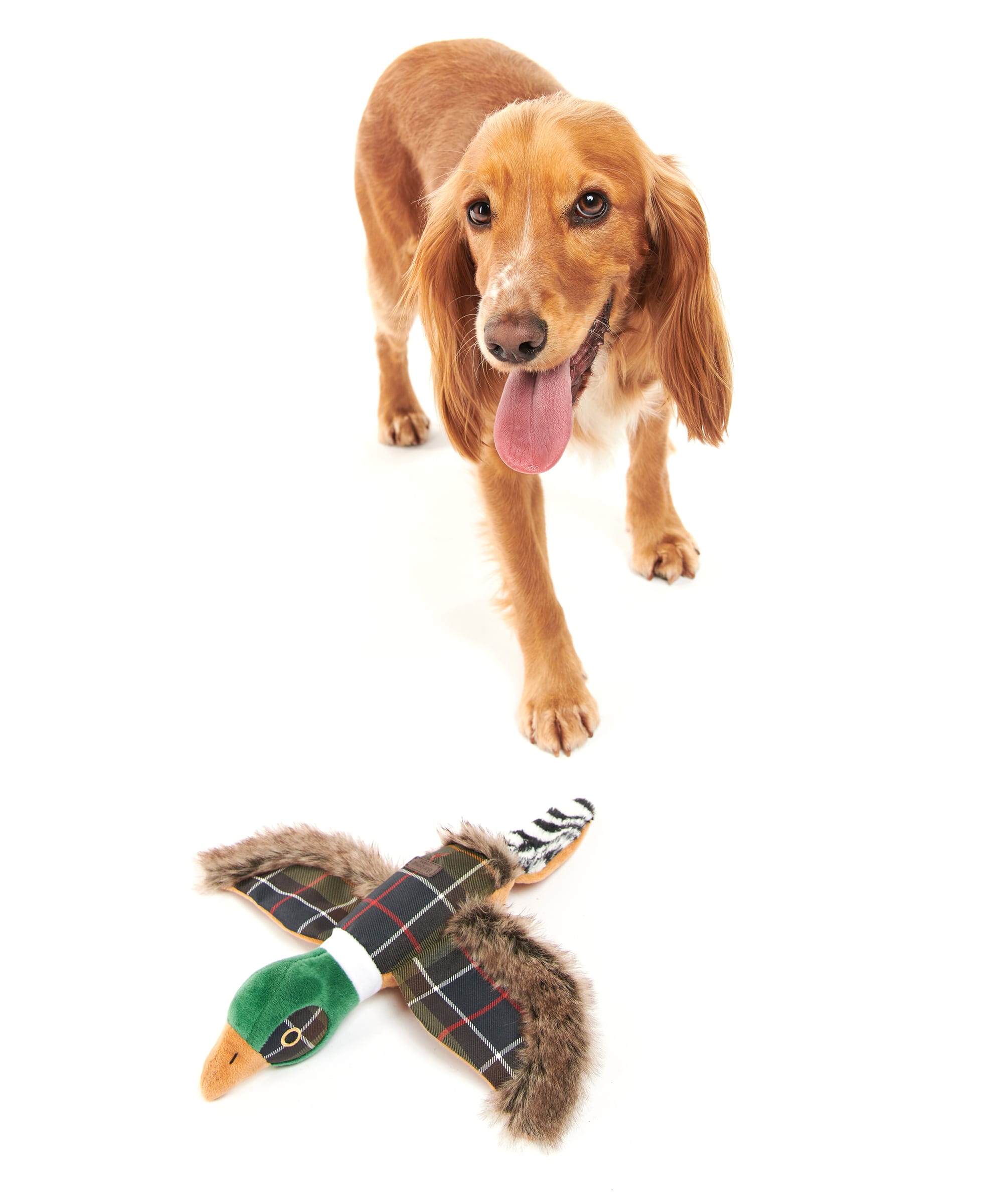 Barbour Pheasant Dog Toy