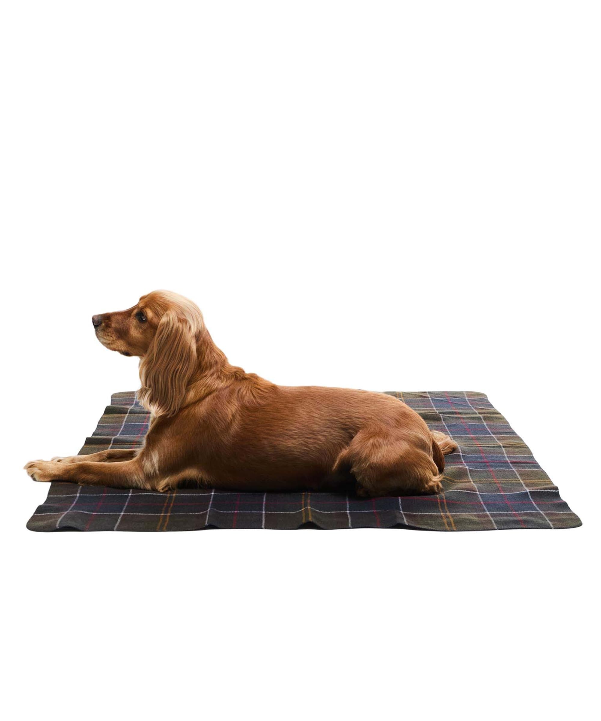Barbour Dog Tartan Blanket