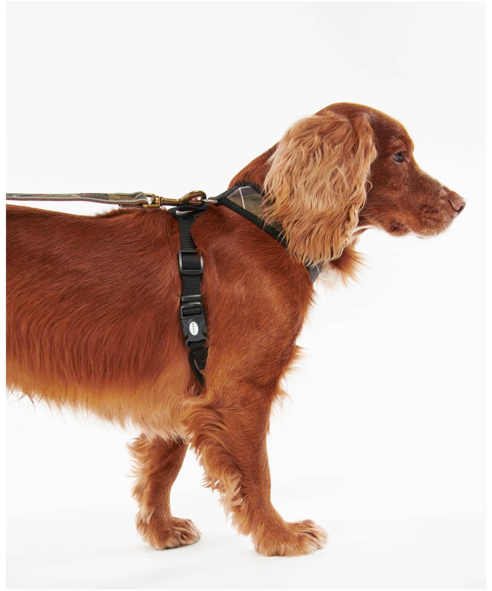 Barbour Tartan Dog Harness