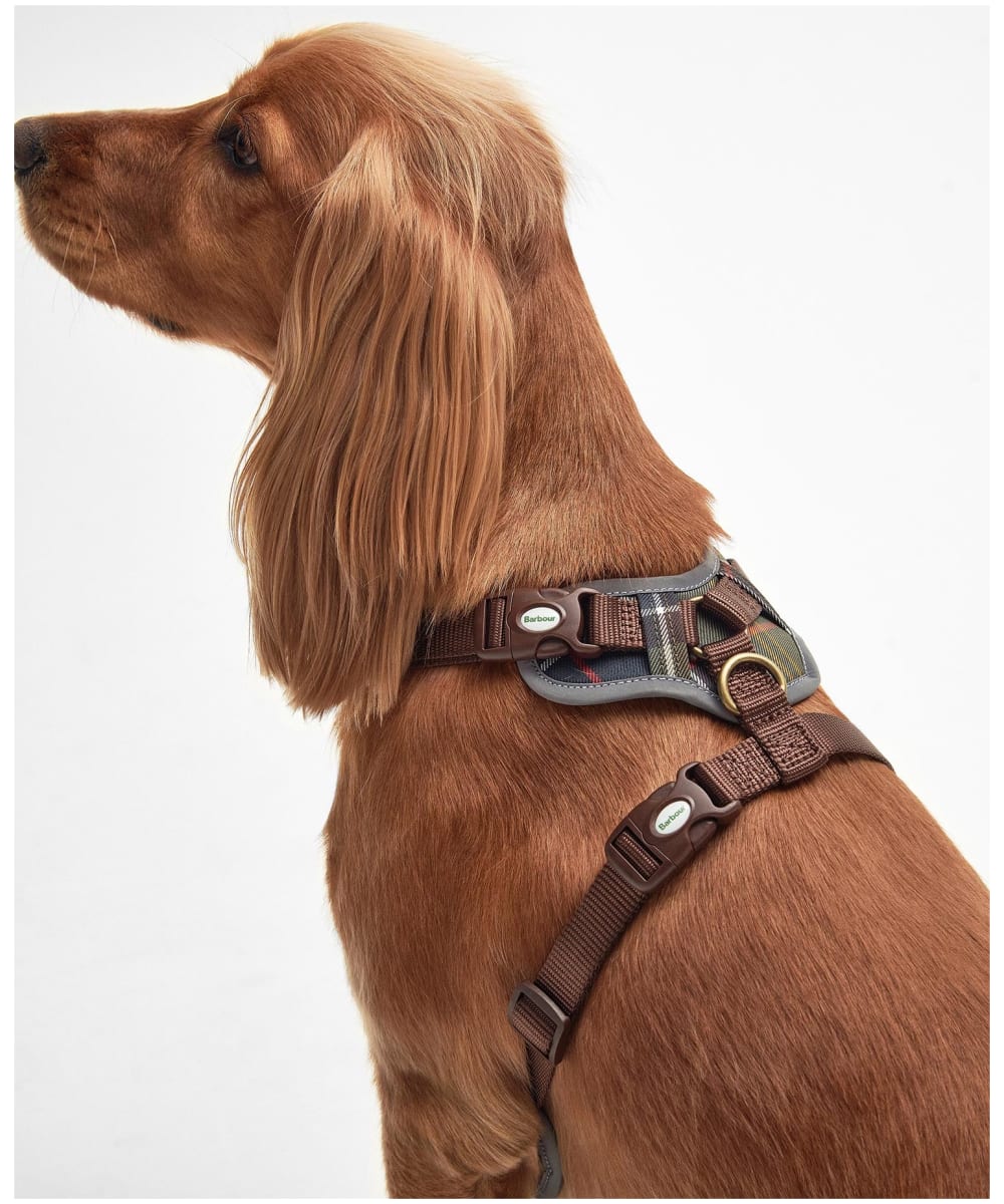 Barbour Fully Adjustable Padded Dog Harness