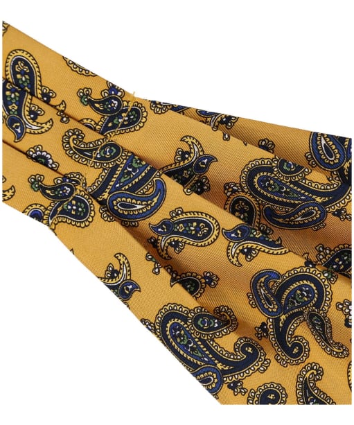 Men's Soprano Silk Twill Paisley Cravat